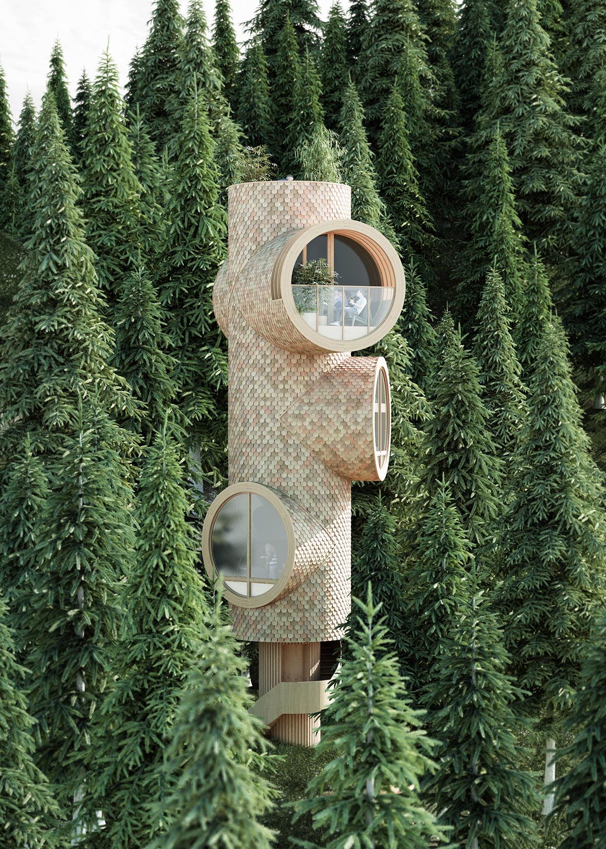 Bert Modular Treehouse - Dream Tiny Living