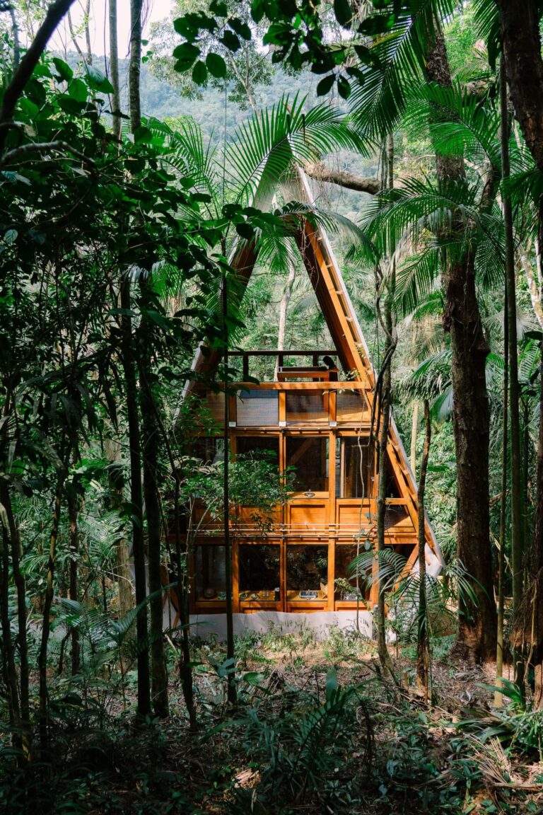 A-Frame Monkey House by Atelier Marko Brajovic - Dream Tiny Living