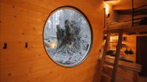 Rustic Magic Cyclops Tiny House - Dream Tiny Living