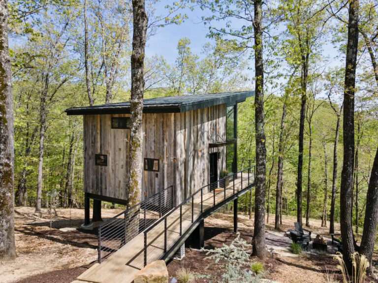 Beautiful Tiny Tree House with Amazing Lake View - Dream Tiny Living