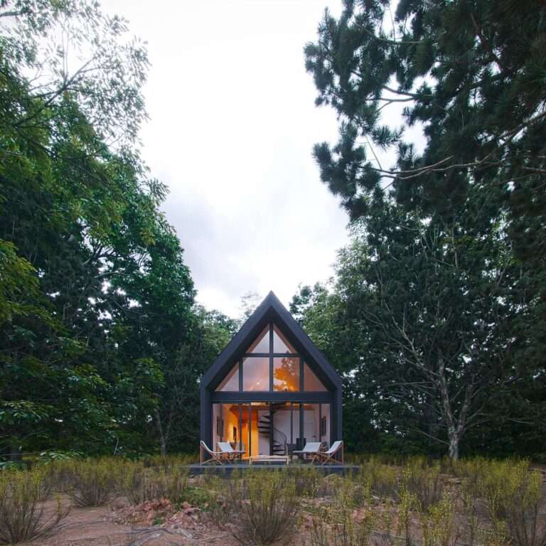 Modern Alpine Plus A-frame Cottage - Dream Tiny Living