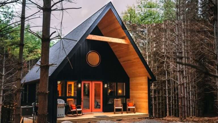 Tiny Black Cabin with Amazing Floor Plan - Dream Tiny Living